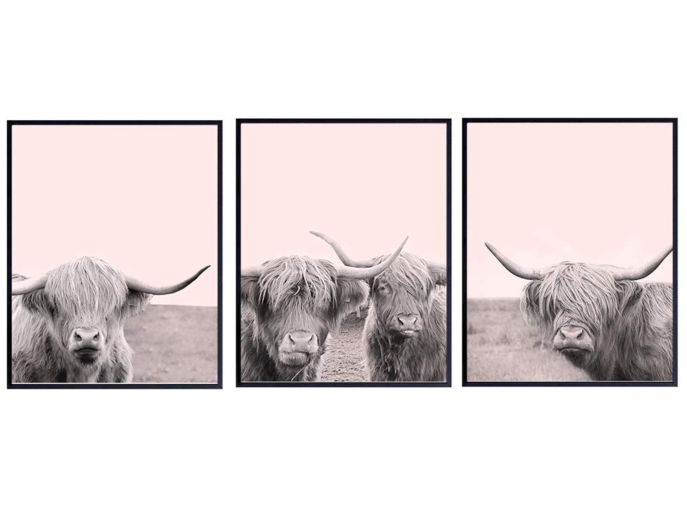 Amazon.com: Cow Wall Decor - Cow Decorations for Home, Kitchen ...