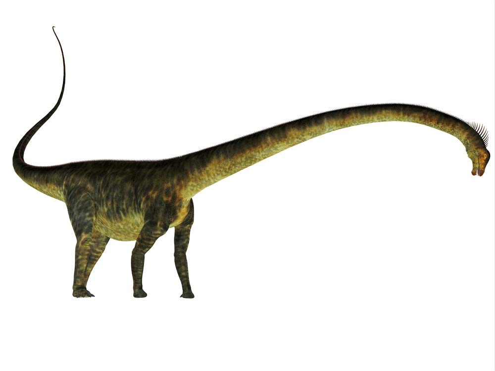 Barosaurus