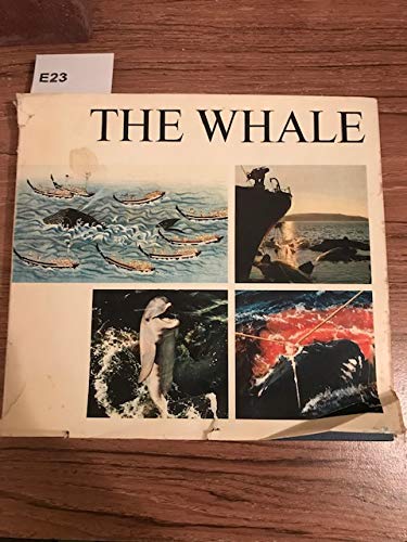 Whale: David Lucas: Amazon.com: Books