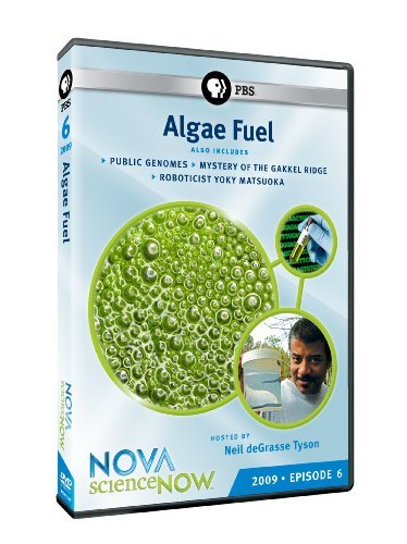 Amazon.com: Nova: Science Now 2009 - Episode 6 - Algae Fuel [DVD ...