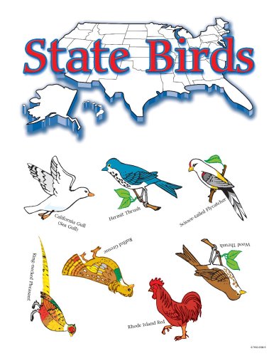 Amazon.com: State Birds Bulletin Board Set: 9780768225907: Carson ...