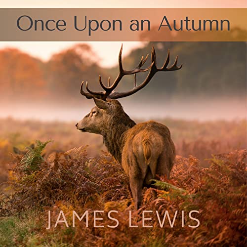 Merlett – Die 16 besten Produkte im Vergleich