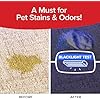 Amazon.com: Bull Shot MAX Strength Carpet Spot & Stain Remover by ...
