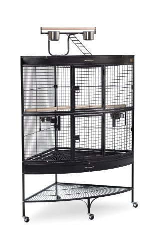 What is the Best Corner Bird Cage for Sale?