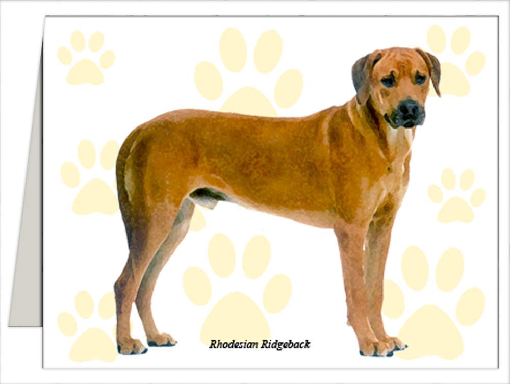 Amazon.com: Rhodesian Ridgeback Note Cards : Office Products