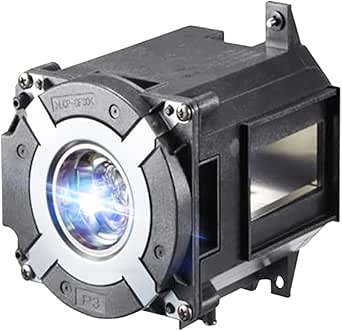 Amazon.com: JISIZKY NP42LP Replacement Lamp Bulb with Housing for ...