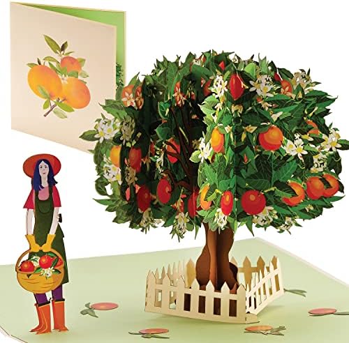 Amazon.com : ioyounow Orange Tree Pop Up Card – 8x12 Inch pop up ...