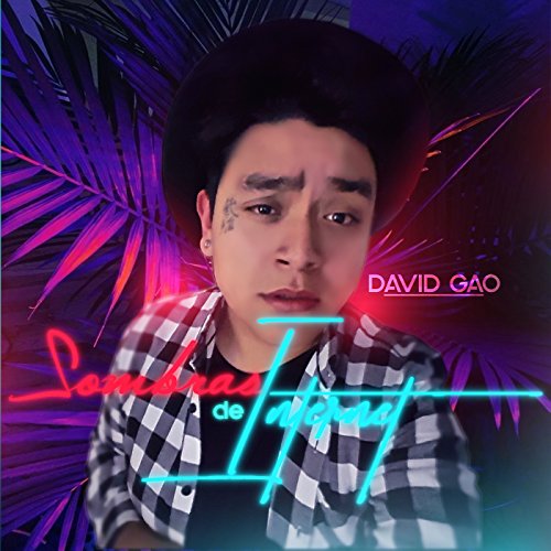 Amazon.com: Sombras de Internet : David Gao: Digital Music