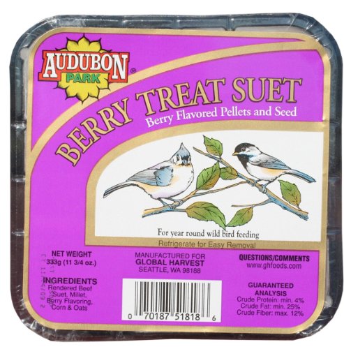 Amazon.com : Global Harvest 11 Oz. Berry Audubon Park Suet Cakes [Set ...