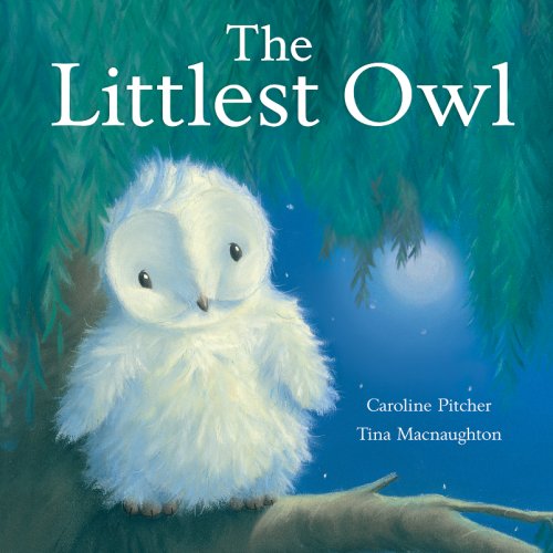The Littlest Owl: Caroline Pitcher, Tina Macnaughton: 9781845066215 ...