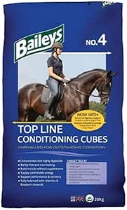 Baileys No 4 Top Line Conditioning Cubes Horse Feed 20Kg : Amazon.co.uk ...