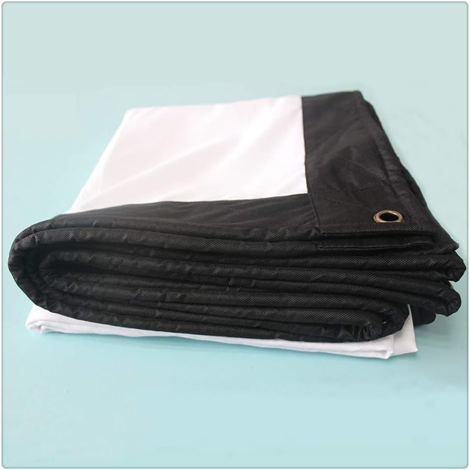 Amazon.com: 100 120 150 180 200 250 300 Inch Projector Screen White ...