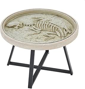 Amazon.com: YDXNY Coffee Tables Living Room Furniture Dinosaur Fossil ...
