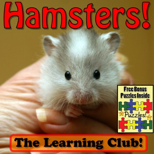 Hamsters! Learn About Hamsters And Learn To Read - The Learning Club ...