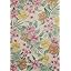 Amazon.com: Loloi II Botanical Ivory/Multi 5'-3" x 7'-8" Area Rug