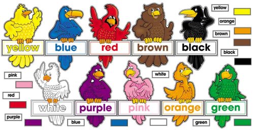 Color Birds! Bulletin Board: Scholastic Inc: 9780439499910: Amazon.com ...