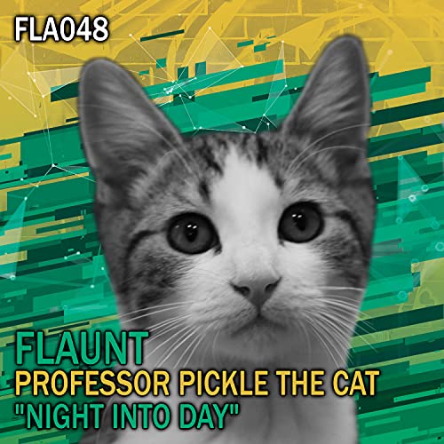 Night Into Day de Professor Pickle The cat en Amazon Music Unlimited