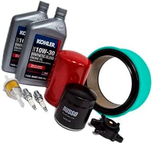 Amazon.com : 28-1370, 86-3010 Maintenance Kit for Toro Dingo TX420 ...