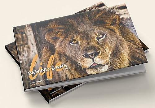 Amazon.com: Life Behind Bars Vol. 1 eBook : Starks, Julian, Collins, Mary Ann, LoCascio, Monica ...