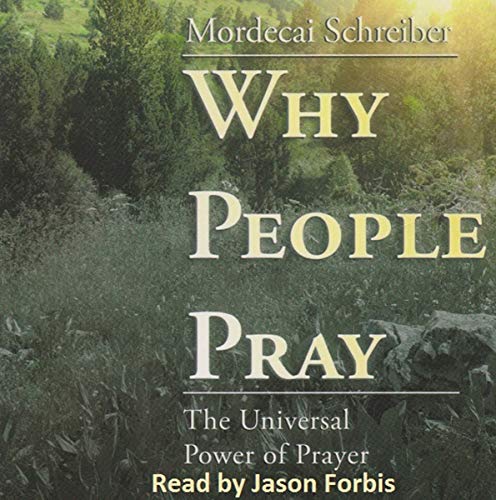 Amazon.com: Why People Pray: The Universal Power of Prayer (Audible ...