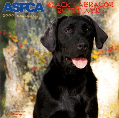 Black Labrador Retriever 2000 Calendar (Aspca Dog and Cat Breed Series ...