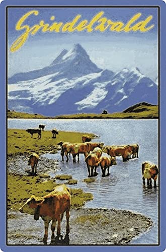 Metal Sign 20 x 30 cm Curved Advertisement Poster Grindelwald Metal ...