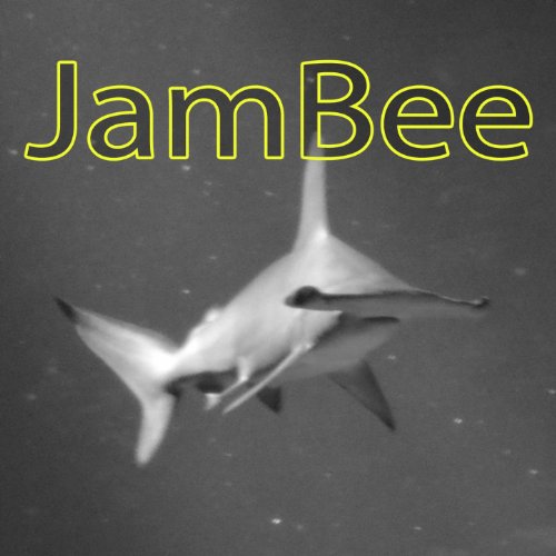 Amazon.com: Jambee - EP : JamBee: Digital Music