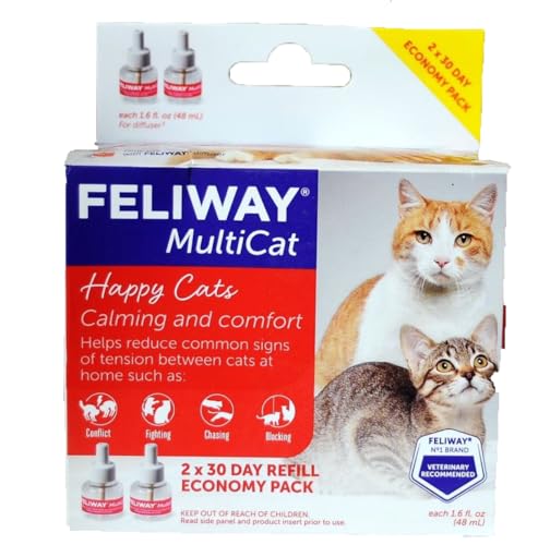 Feliway Multicat – The 15 best products compared - Wild Explained