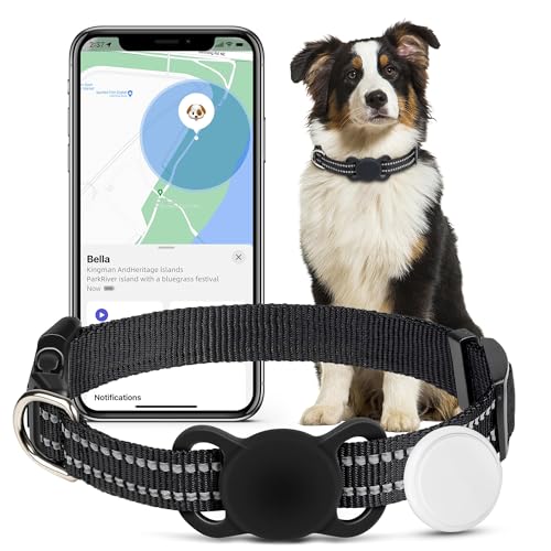 Top 10 Best Pet Tracker For Dogs : Reviews & Buying Guide - Katynel