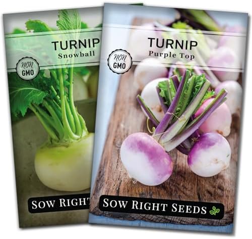 Amazon.com : Sow Right Seeds - Collection of Turnip Seeds for Planting ...