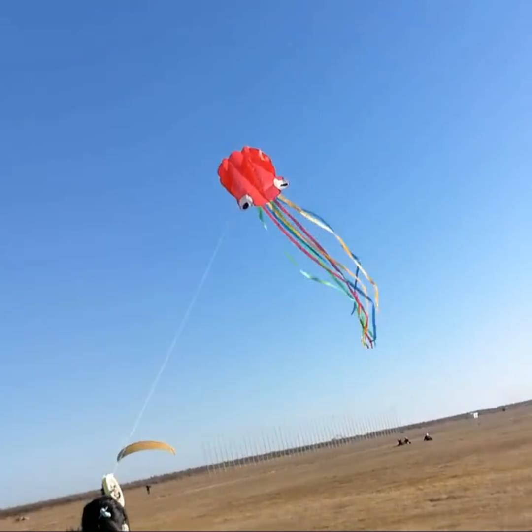 Watch Easy flying octopus kite on Amazon Live