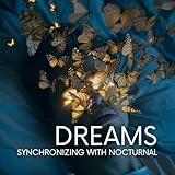 【発売日：2024年12月12日】・製造元:Hz Sleep Project