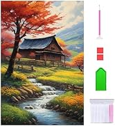 Amazon.com: Liccyy Large 5D Diamond Art Painting Kits for Adults Teens ...