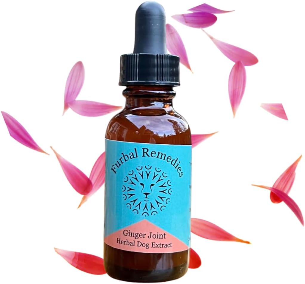 Amazon.com : Canine Ginger Joint Extract - Dog Herbal Supplement : Pet ...