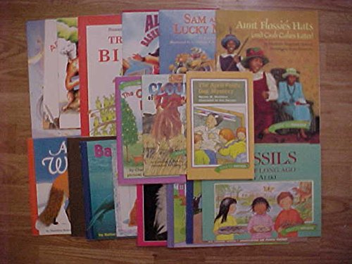 Soar to Success 18pk Level 3: Houghton Mifflin Soar to Success (Read ...