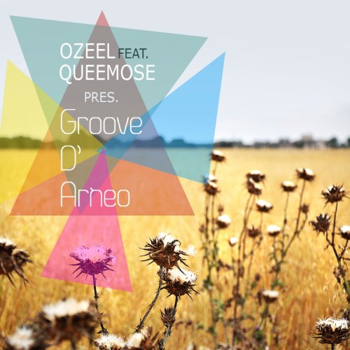 Amazon.com: Groove D'Arneo (feat. Queemose) : Ozeel: Digital Music