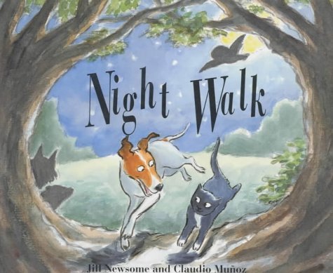 Night Walk: NEWSOME, JILL, Munoz, Claudio: 9781842700945: Amazon.com: Books