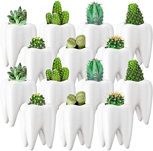 Amazon.com : Gift Prod 2 Pcs Teeth Pots White Ceramic Succulent Planter ...