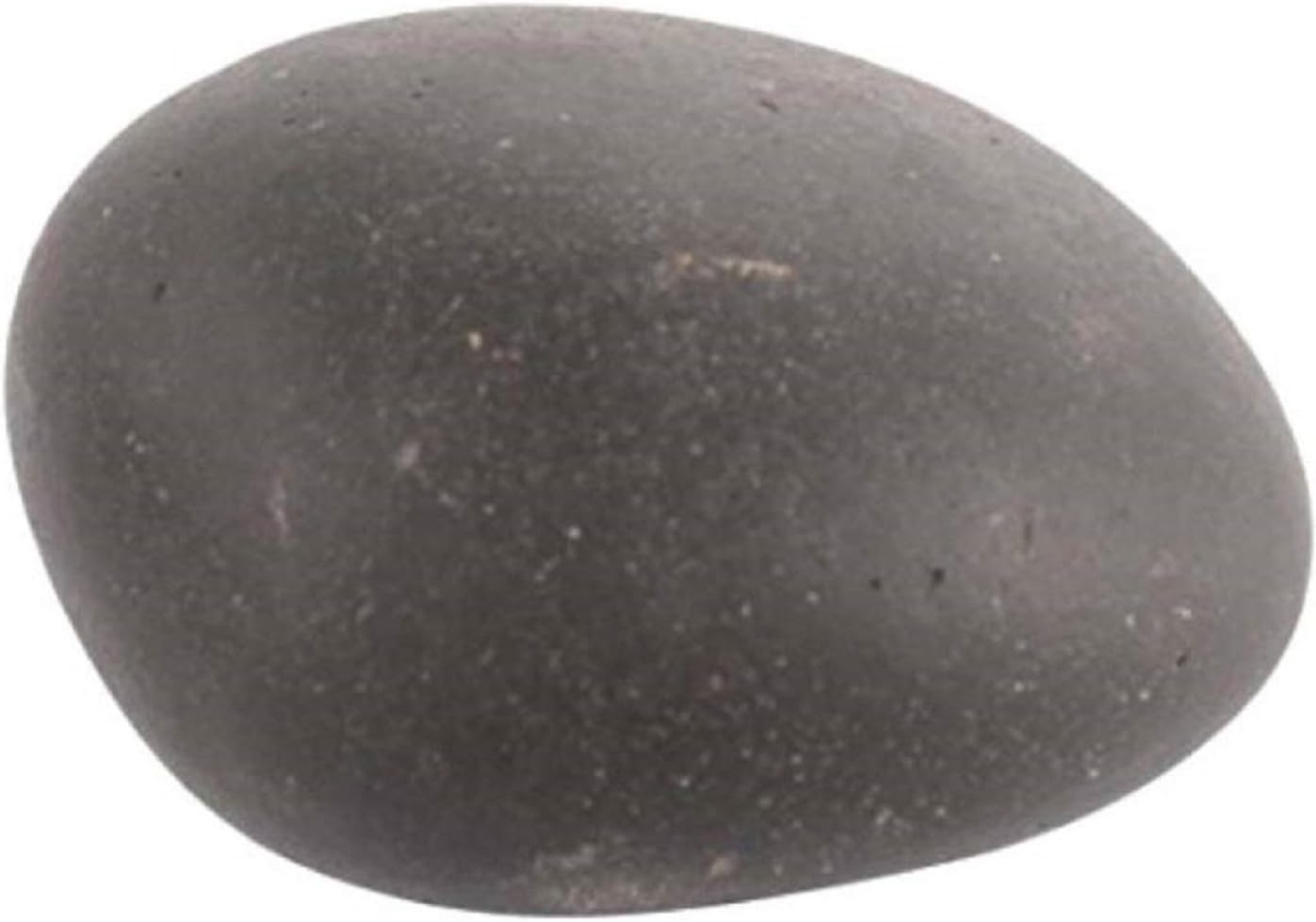 Amazon.com - SHIVOHAM Shaligram/Salagrama Stone from Gandaki River ...