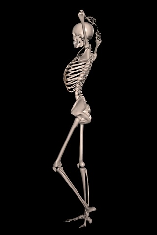 360° Anatomy for Artists: Female Figure - App on Amazon Appstore