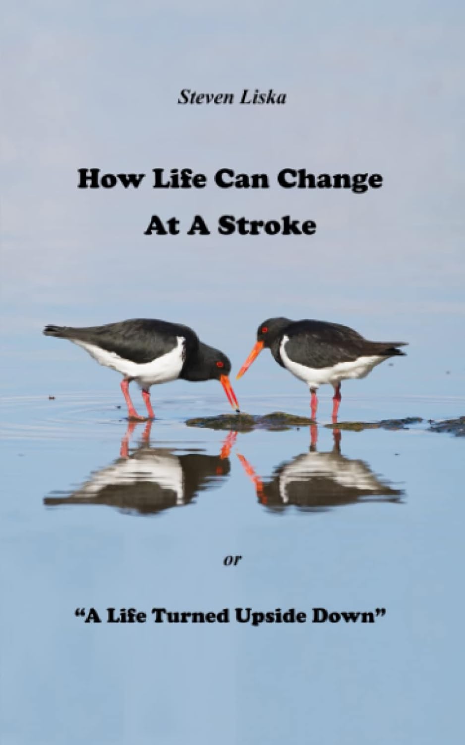 How life can change at a stroke: A life turned upside down: Amazon.co ...