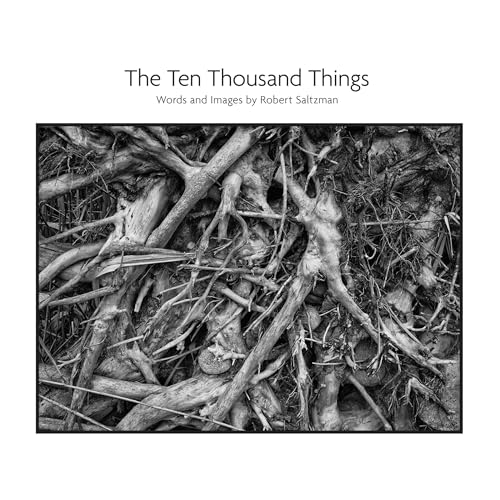 Amazon.com: The Ten Thousand Things (Audible Audio Edition): Robert Saltzman, Independently ...