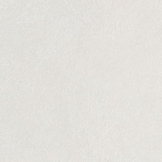 Amazon | サンゲツ FAITH フェイス 糊なし/のり無し壁紙 クロス 自然の景観 Shaddes of Air 空気の色彩 ...