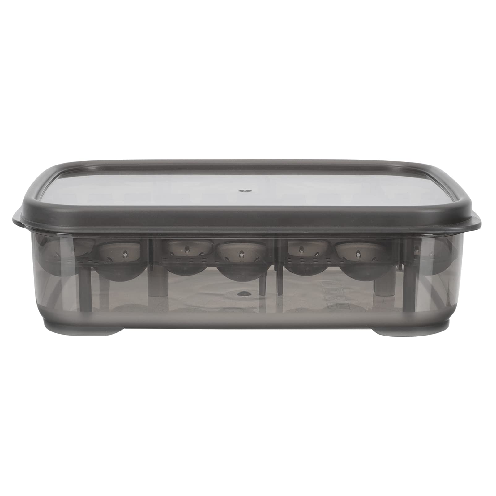 Buy Reptile Egg Breeding Hatchery Box: Reptiles Egg Incubator Tray 14 ...