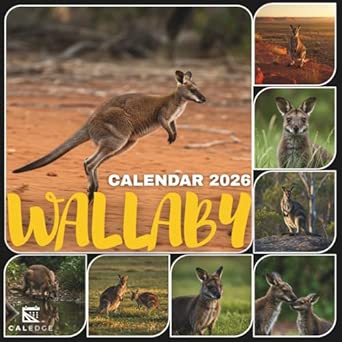 Amazon.com: Wallaby Calendar 2026: Monthly Charming Wildlife in Every ...