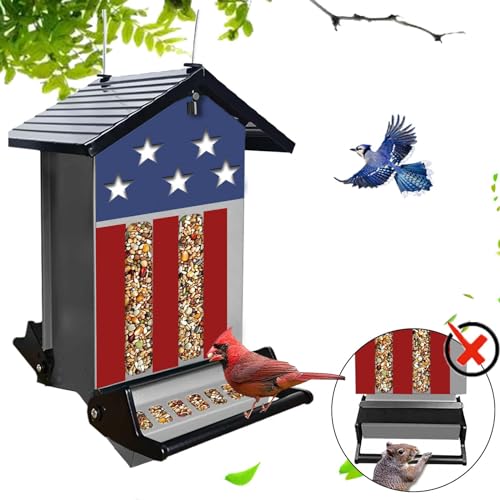 7 Best Bird Feeders For Attracting Wild Birds To Your Garden 2024 ...
