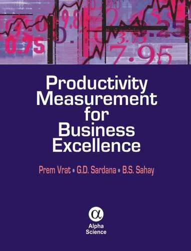 Buy Productivity Measurement for Business Excellence Book Online at Low ...