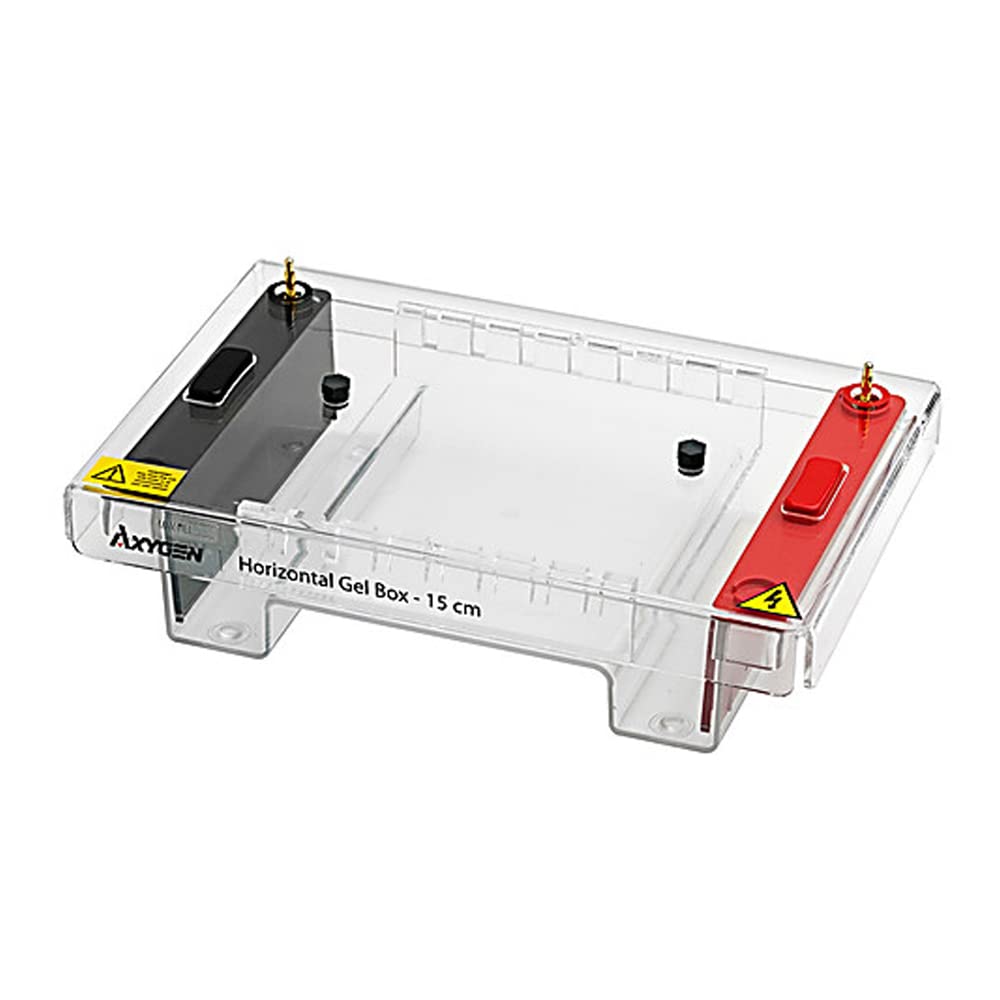 Amazon.com: Corning Axygen HGB15-12-15 12-Well Comb for 15 cm Gel Box ...