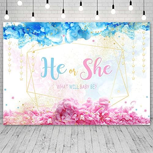 Amazon.com : SENDY 7x5ft He or She Gender Reveal Backdrop Boys or Girls ...