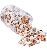 PH PandaHall 115-125pcs Trumpet Shell Beads, Dyed Natural Seashell ...